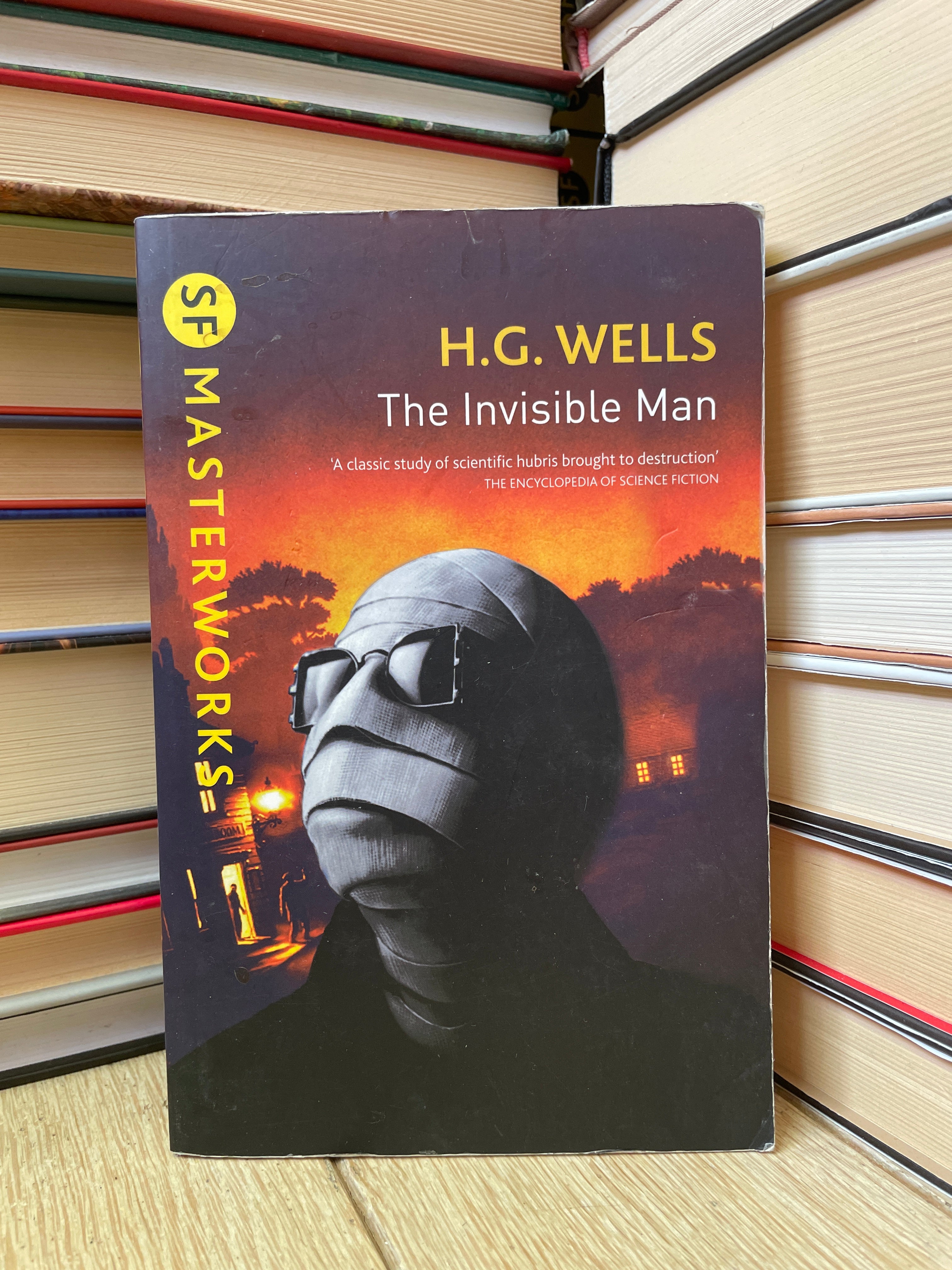 Literary Devices In The Invisible Man Hg Wells Best Sale | aria ...
